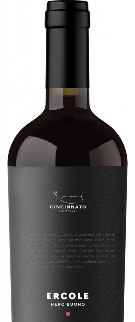 Cincinnato Cellar, Farmhouse, Restaurant, Wines - Cori, Lazio